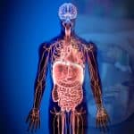 Understanding Hypermetabolism In Anorexia | Peace & Nutrition