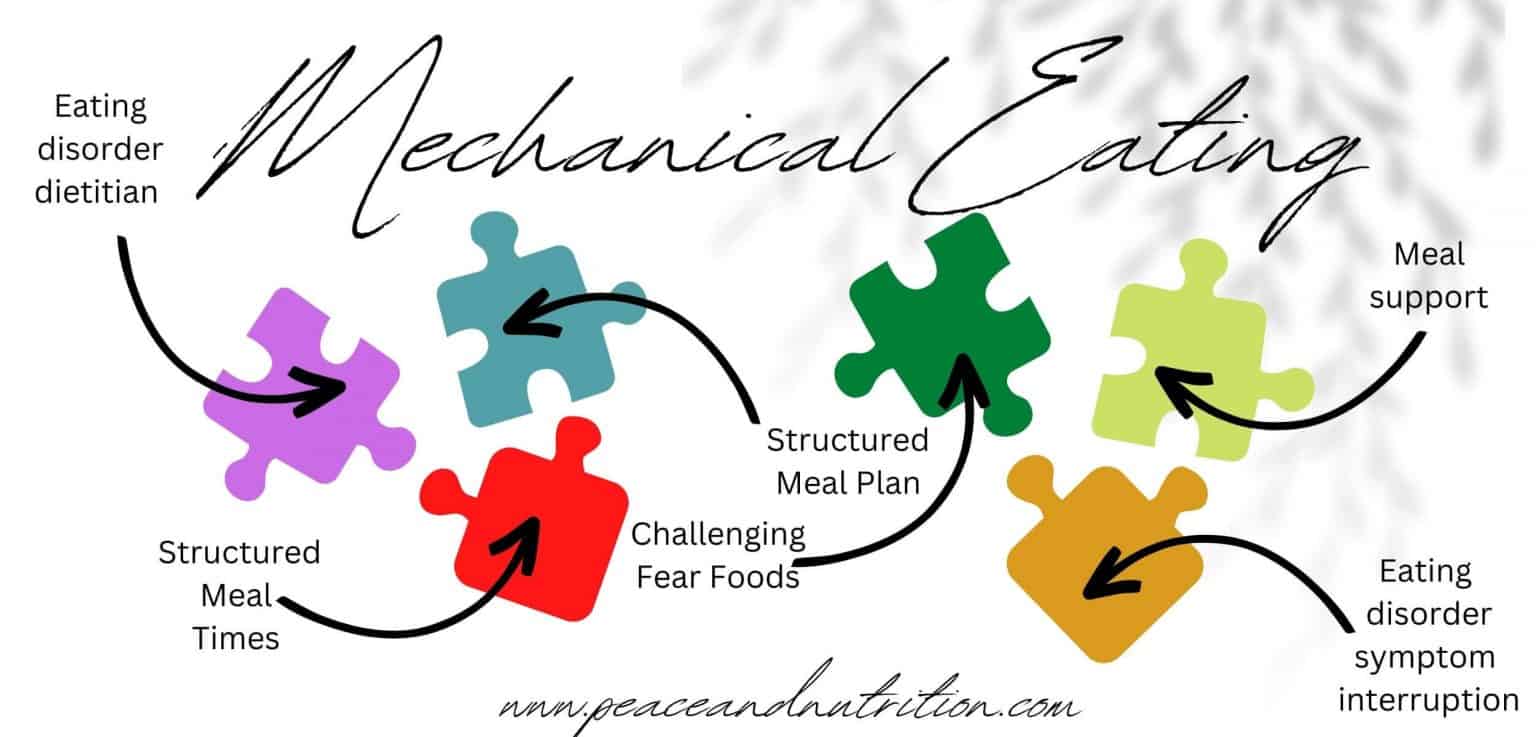 Mechanical Eating In Eating Disorders | Peace & Nutrition™